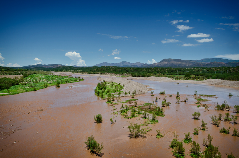 Welcome to the New Canelo Chronicles via the Rio Sonora – Canelo Project