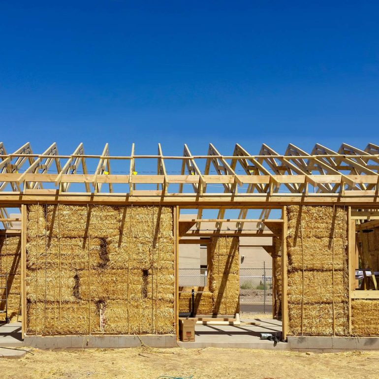 Workshops – Canelo Project